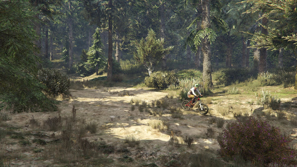 Forests of SA Ultimate Map | FiveM Maps – Fivem Mlo | Fivem Maps Shop